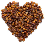Organic Sea Buckthorn Berry benefits
