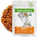 organic sea buckthorn berry tea