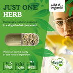 organic sea kelp for healthy thyroid