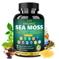 organic sea moss capsules benefits