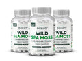organic sea moss capsules for energy