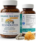 organic sea moss capsules for health
