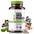 organic sea moss capsules for wellness