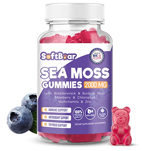 organic sea moss for digestion support