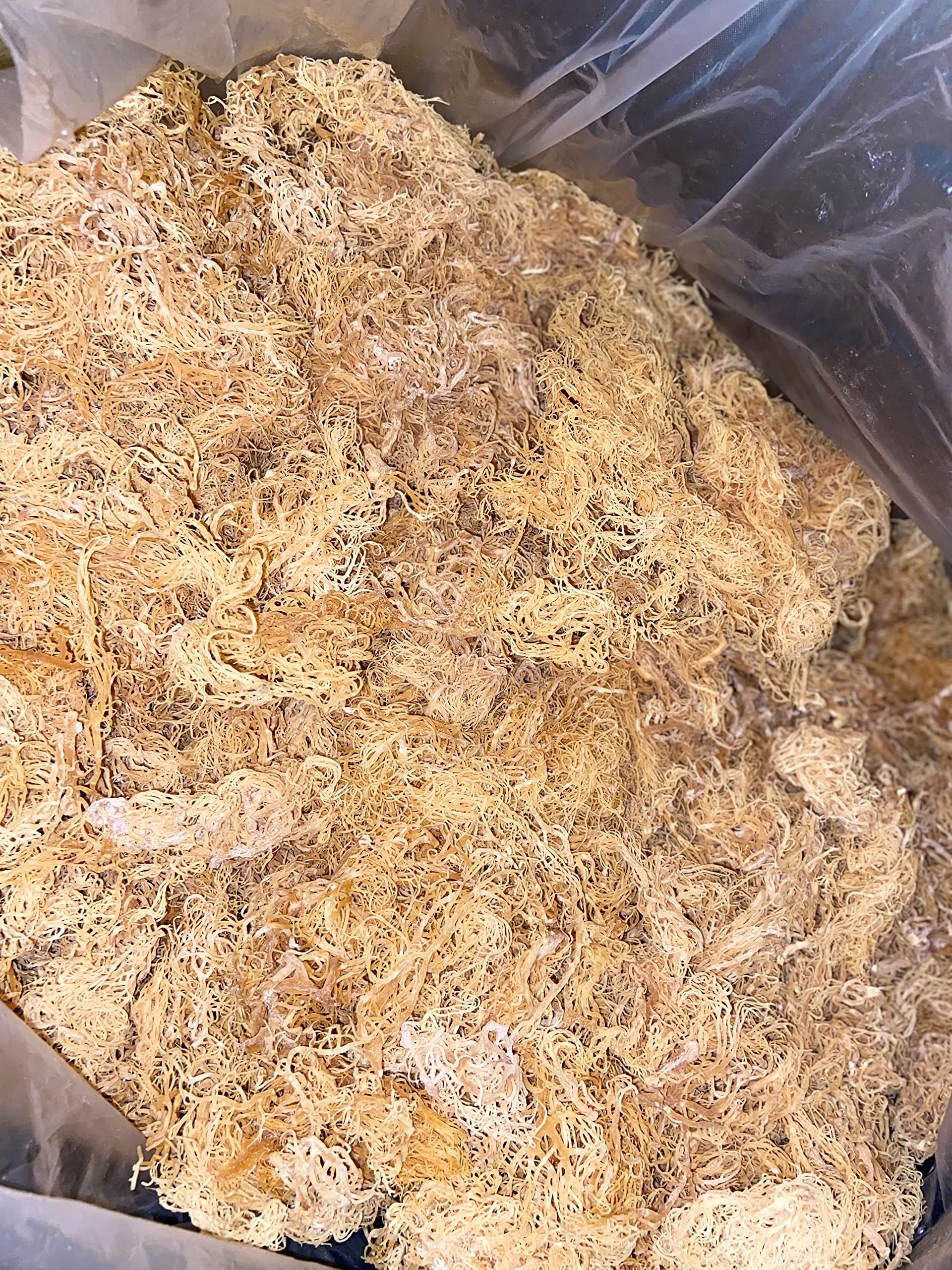 organic sea moss for energy