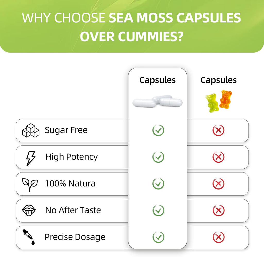 organic sea moss for holistic health