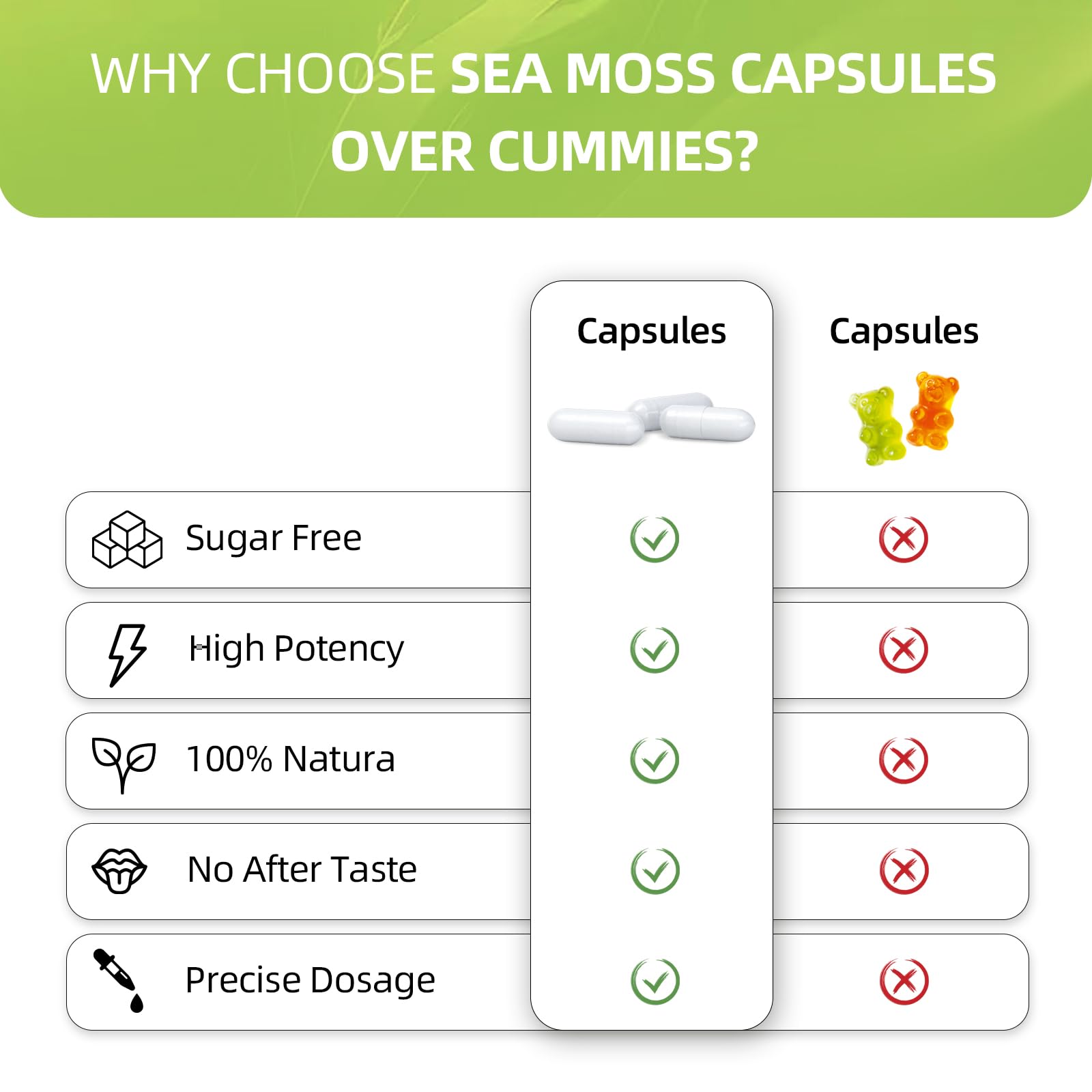 organic sea moss for holistic health