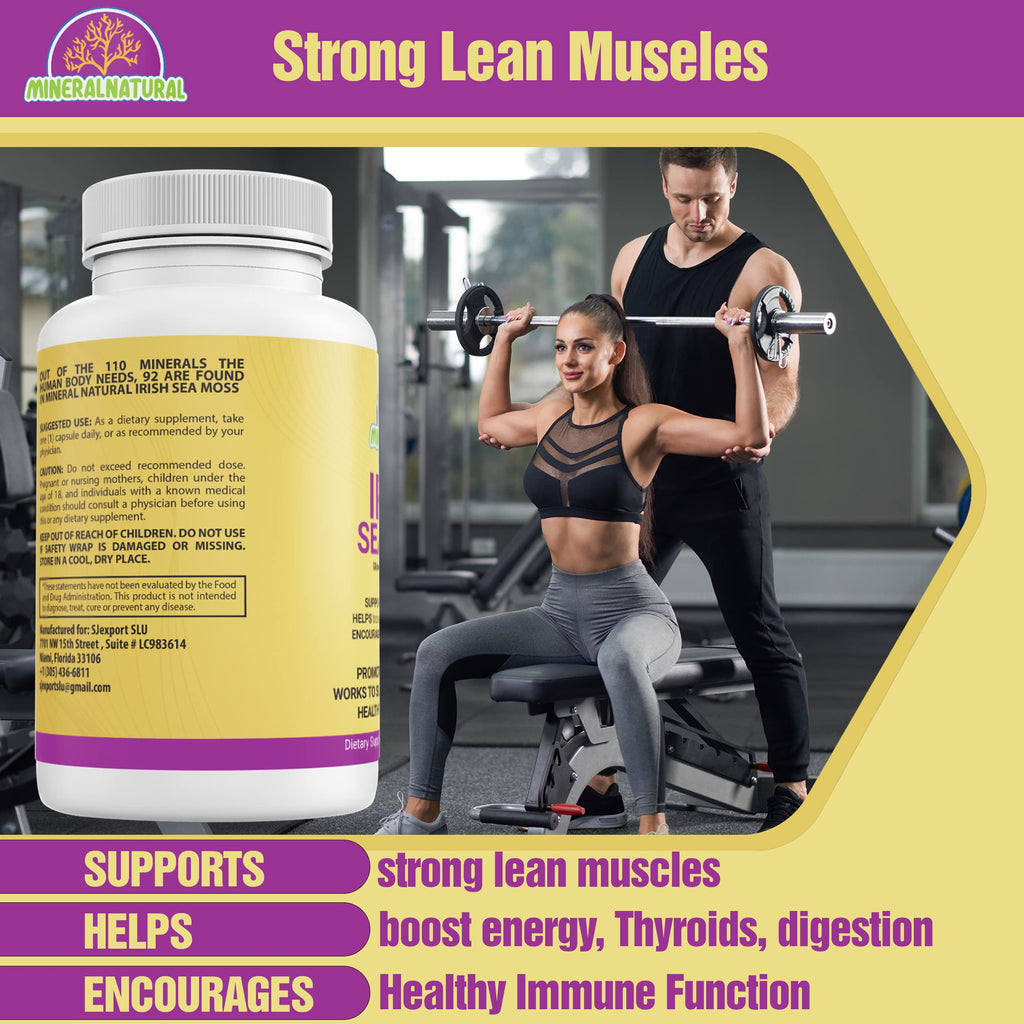 organic sea moss for holistic health
