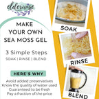organic sea moss for smoothies