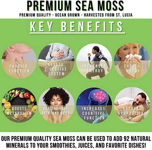 organic sea moss for wellness