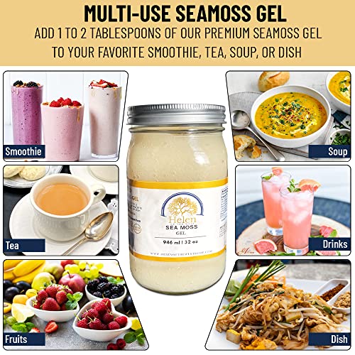 organic sea moss for wellness