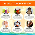 organic sea moss gel for wellness
