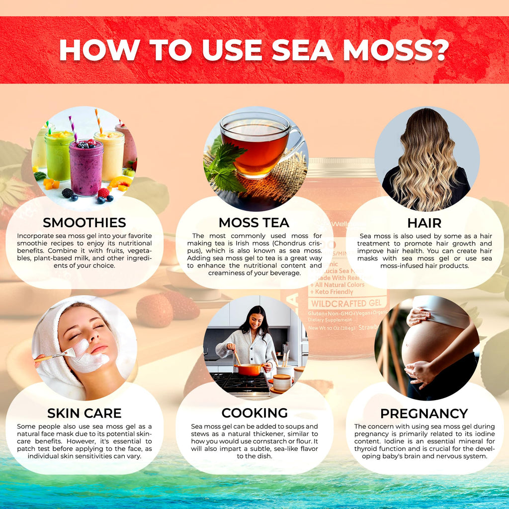 organic sea moss gel source