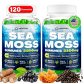 organic sea moss gummies benefits