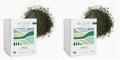 organic sencha green tea sachets
