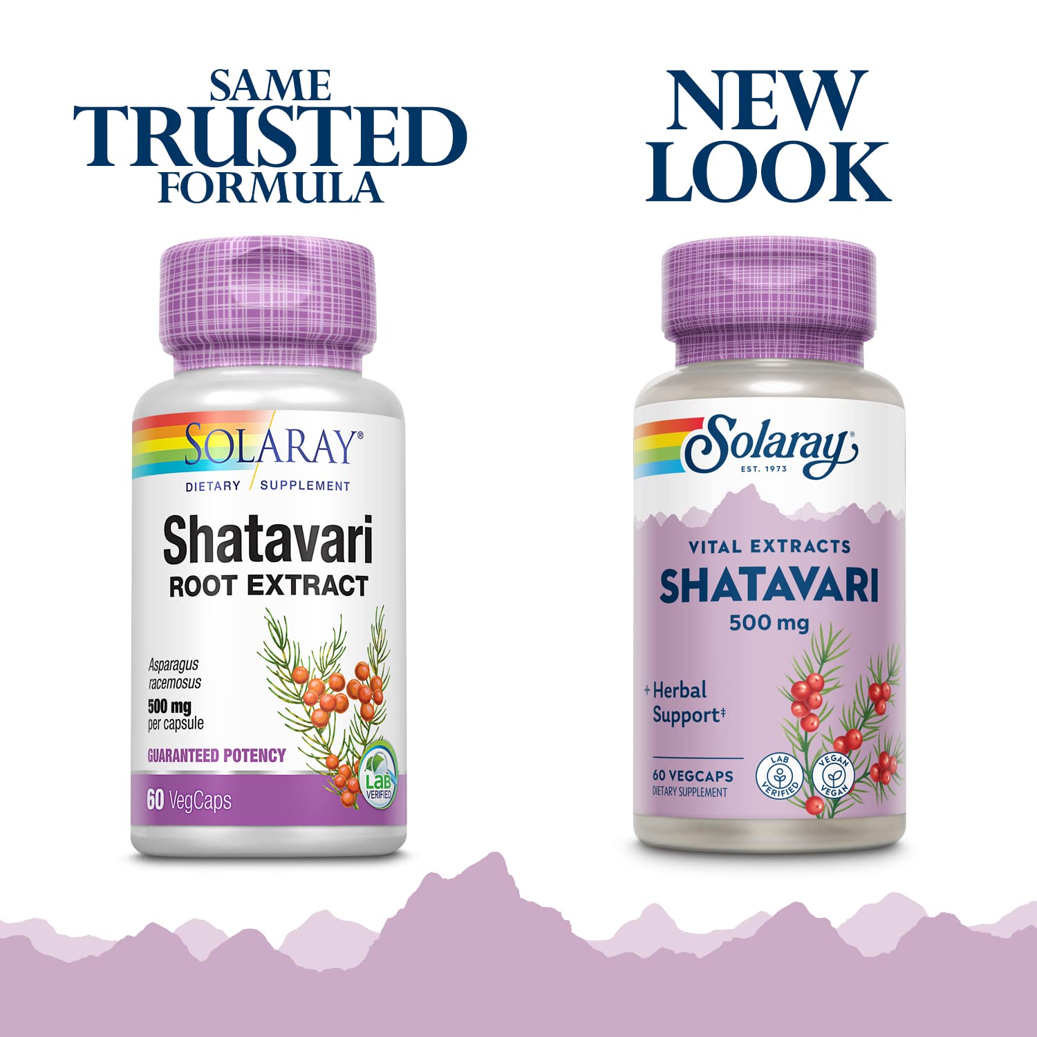 Organic Shatavari capsules for wellness