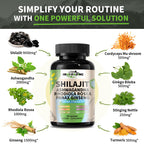 Organic Shilajit capsules for detox
