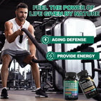organic shilajit for daily health
