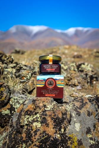 organic shilajit for holistic health