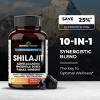 organic shilajit for overall health