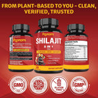 organic shilajit for overall wellness