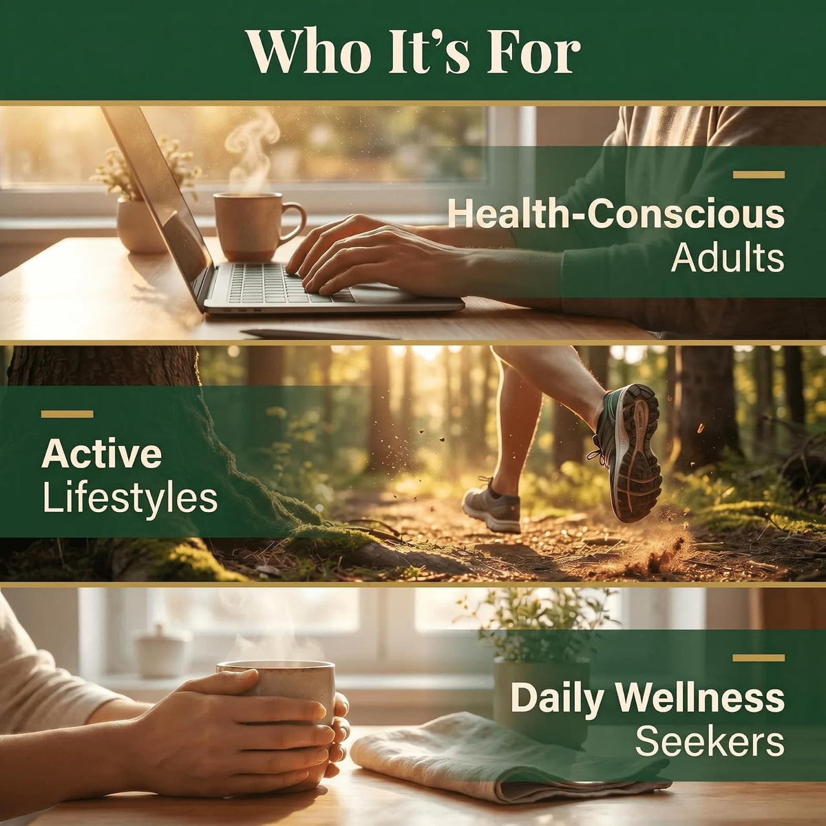 Organic Shilajit for overall wellness