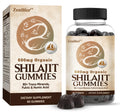 organic shilajit gummies for energy