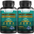 organic shilajit gummies for energy