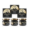organic shilajit resin for energy