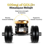 organic shilajit resin for vitality