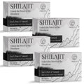 organic shilajit tablets for energy