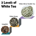 organic silver needle white tea