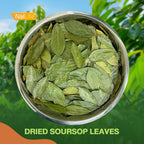 organic soursop herbal infusion