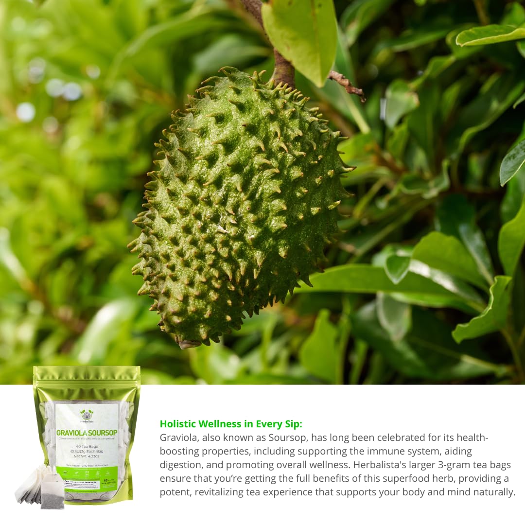 Organic soursop leaf tea for wellness
