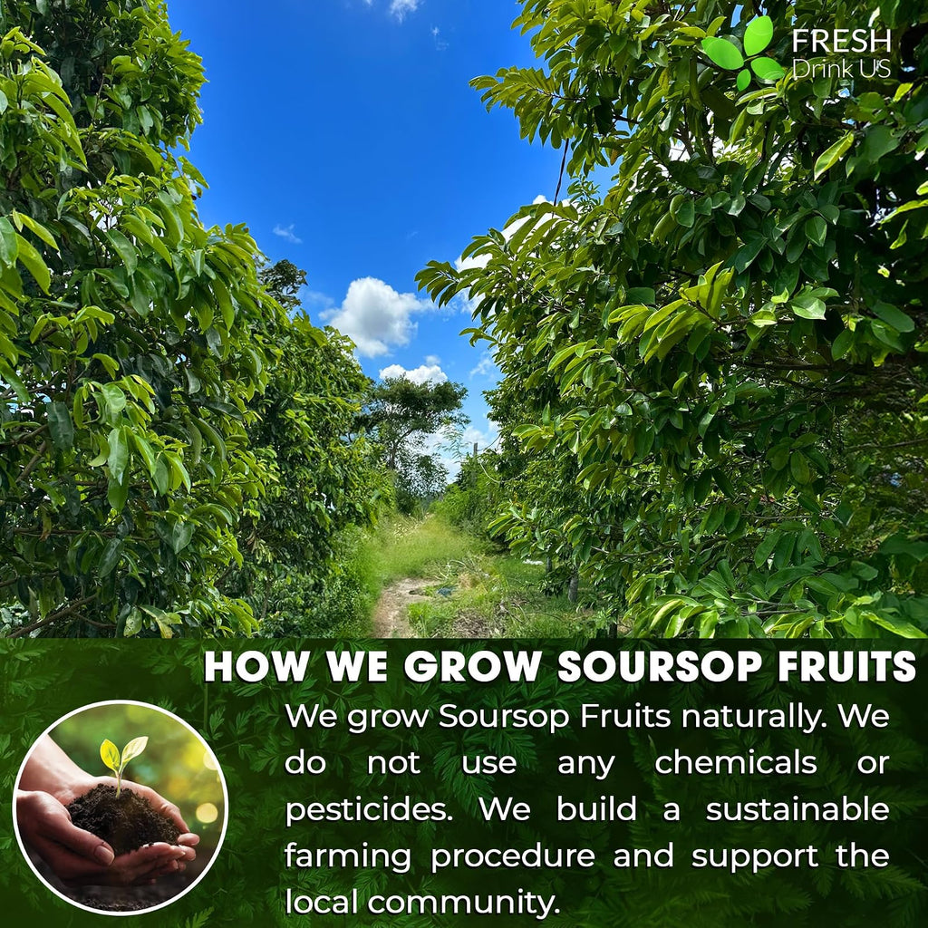 Organic Soursop powder for brewing