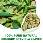 organic soursop tea for wellness