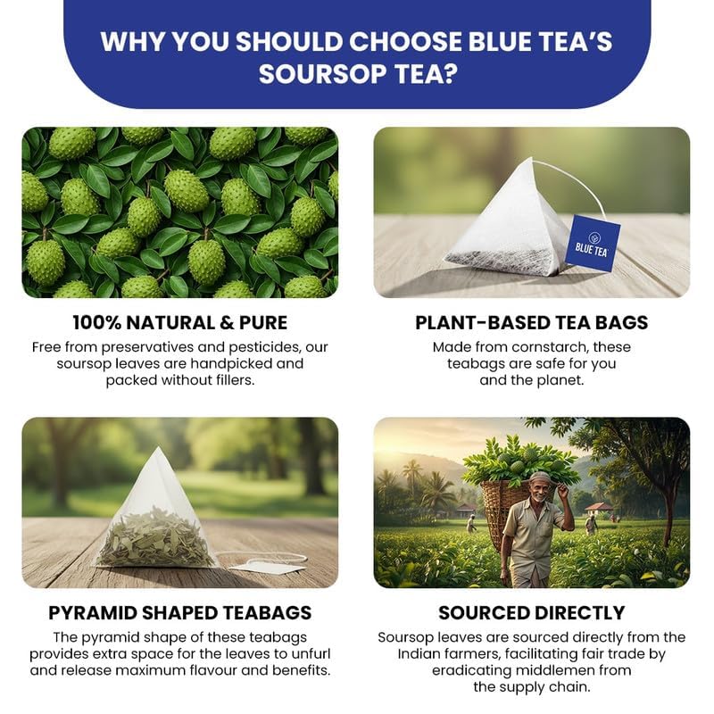 organic soursop tea pyramid bags