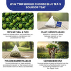 organic soursop tea pyramid bags