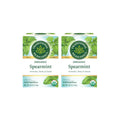 organic spearmint herbal tea bags