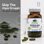 organic spirulina for daily wellness