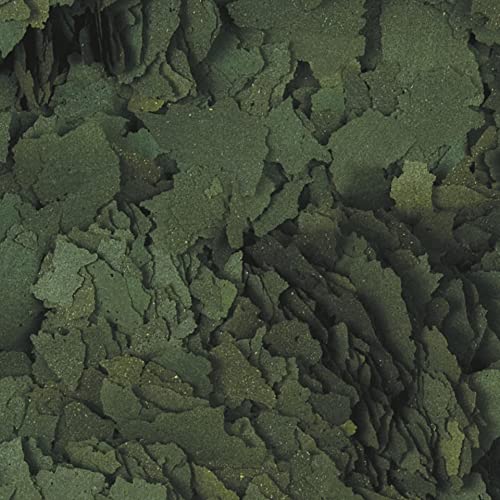organic spirulina for natural detox