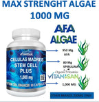 Organic spirulina superfood supplement