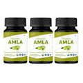 organic spree amla vitamin c tablets