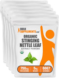 organic stinging nettle extract powder