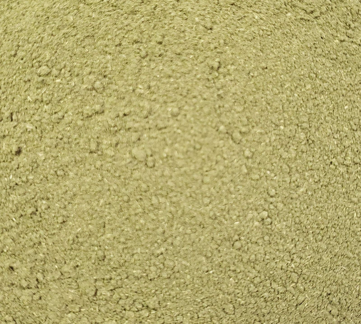 Organic stinging nettle powder benefits