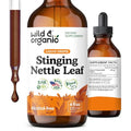 organic stinging nettle tincture for health