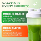 organic super greens powder blend