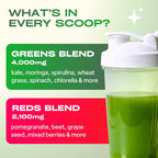 organic super greens powder blend