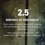 organic superfood powder for smoothies