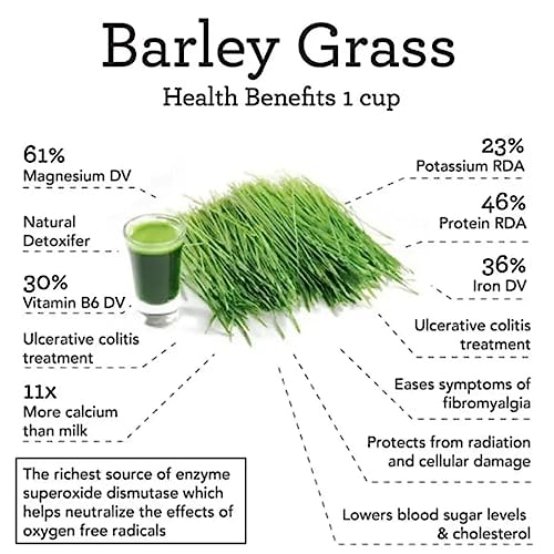 organic supplements for better health